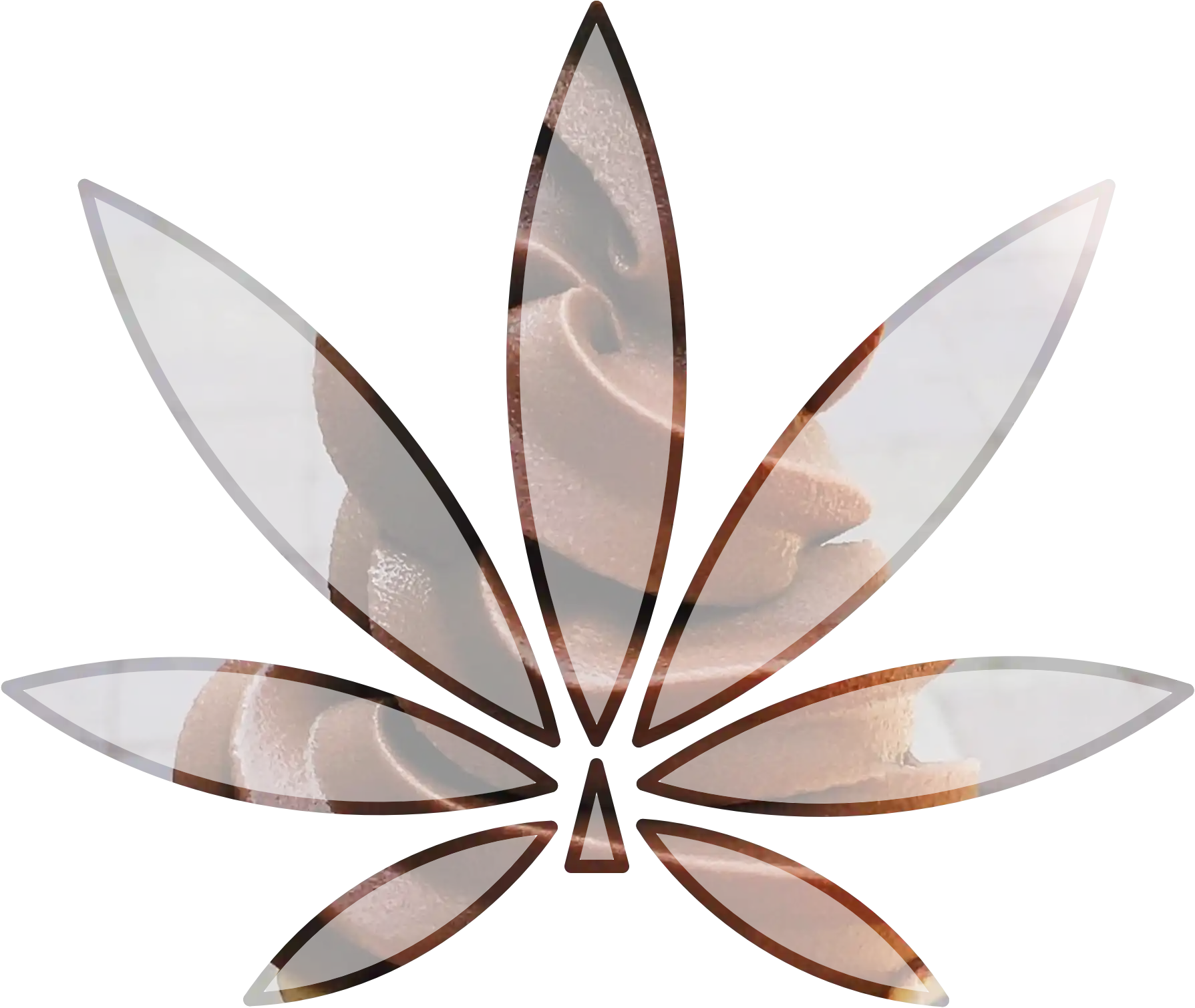 Chocolope - Cannabis Strain Sorteninfo