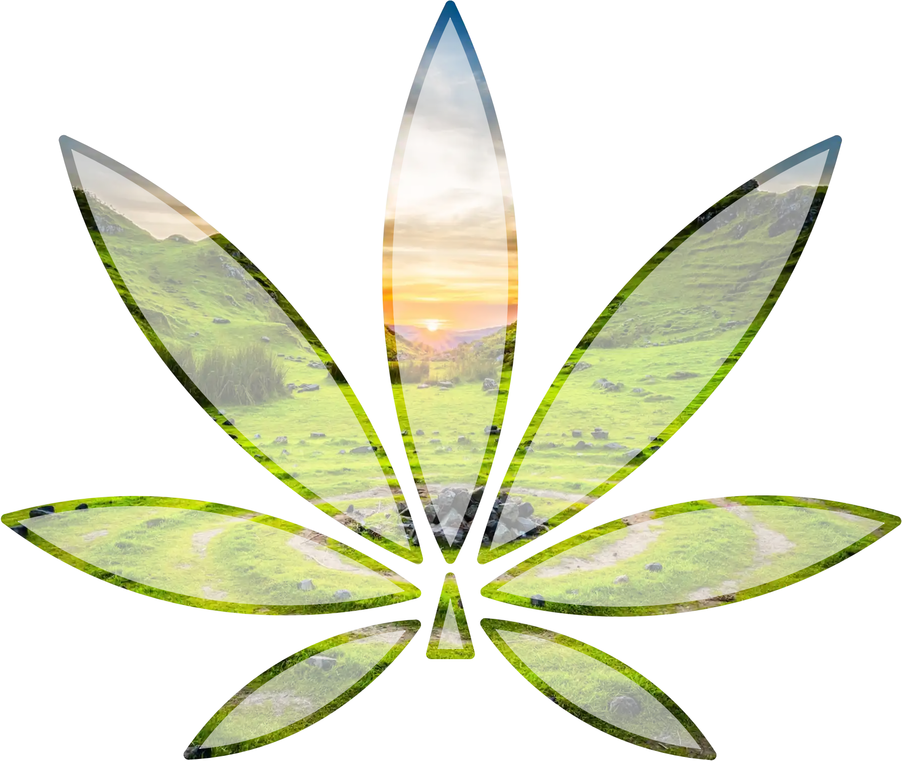 Lemon Alien Dawg - Cannabis Strain Informationen | Weed Sorten Lemon Alien Dawg - Cannabis Strain Informationen | Weed Sorten