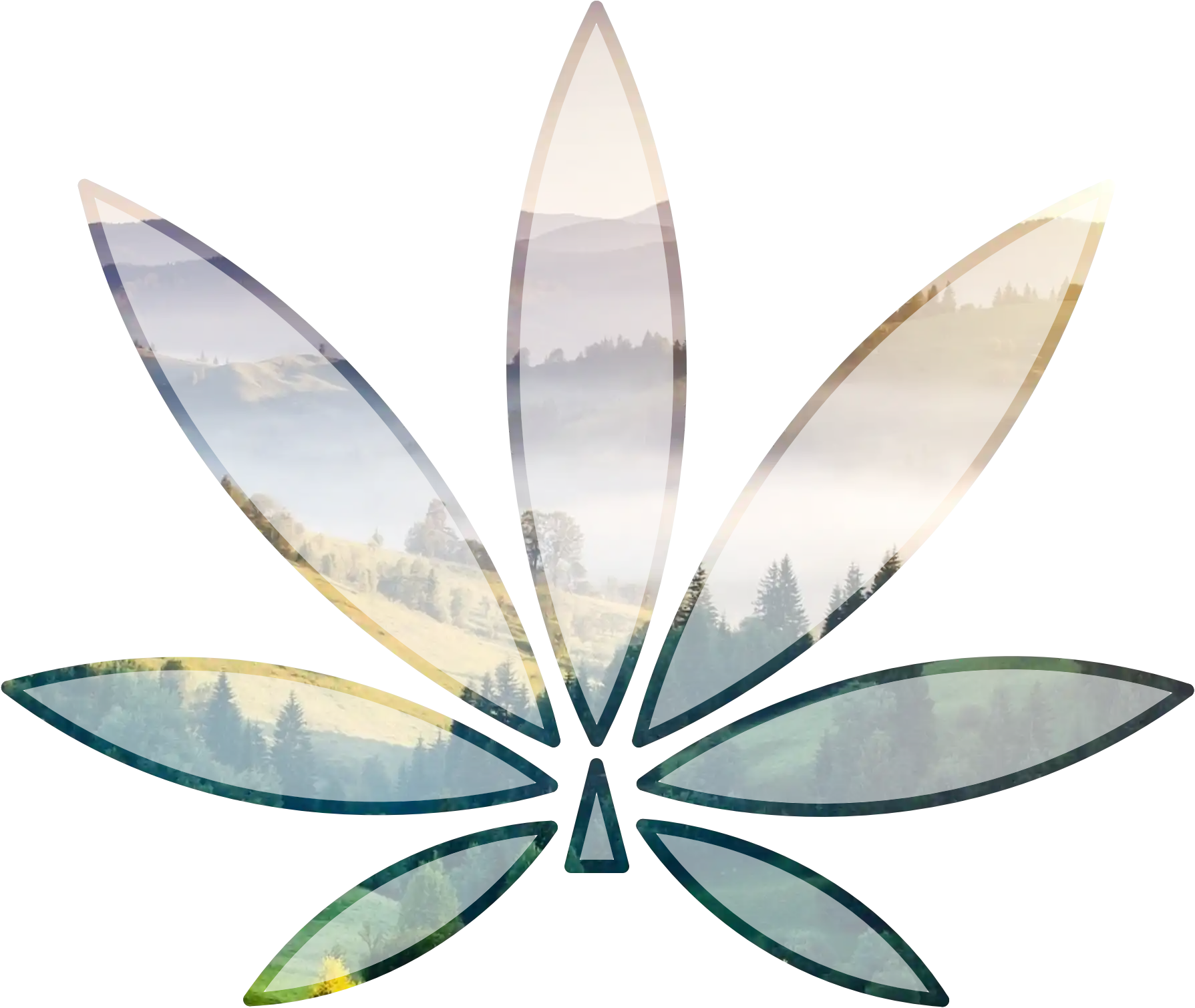 Morning Glory - Cannabis Strain Informationen | Weed Sorten