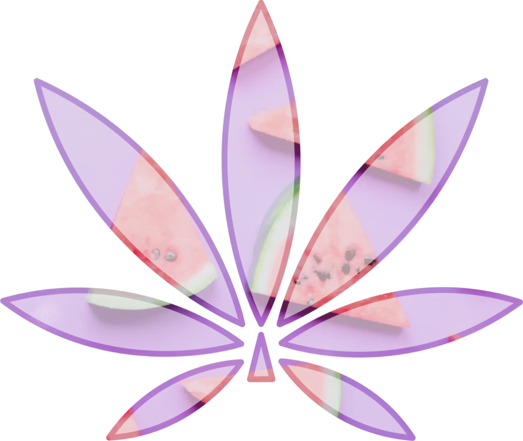 Watermelon - Cannabis Strain Informationen | Weed Sorten